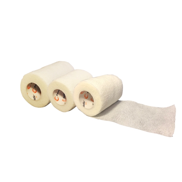 FLEXBAND FORMACTIV - FORMACTIV Boutique